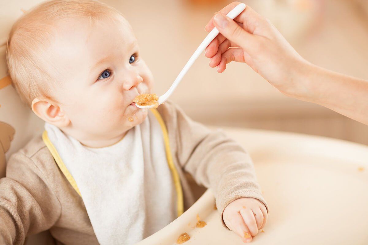 Petits pots et repas bébé bio - La Fourche